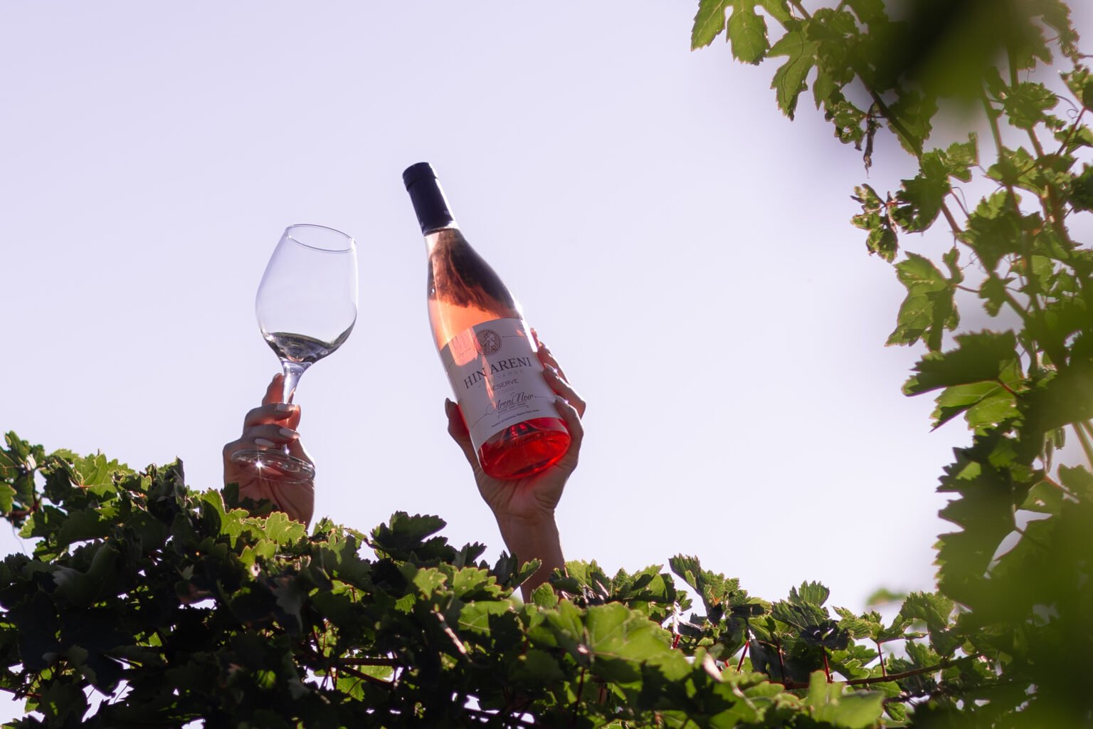 Hin Areni – Wineyards